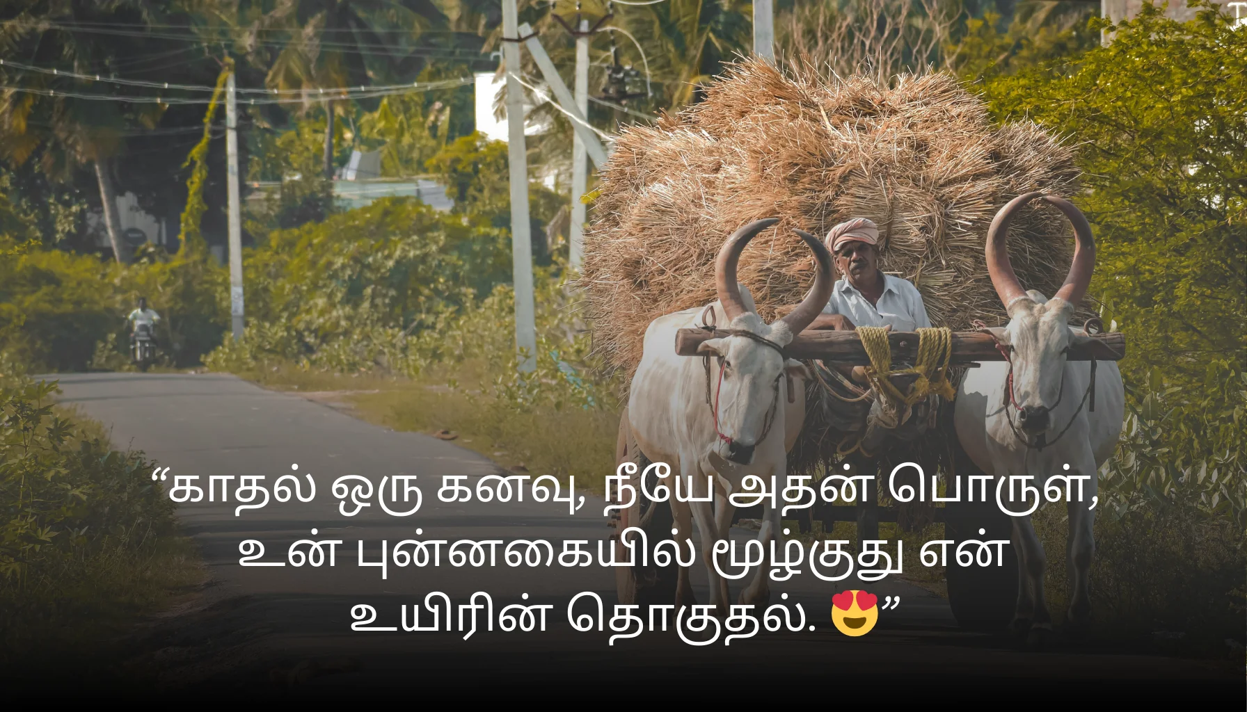 65+ Tamil Shayari Collection | தமிழ் ஷயரி 2025